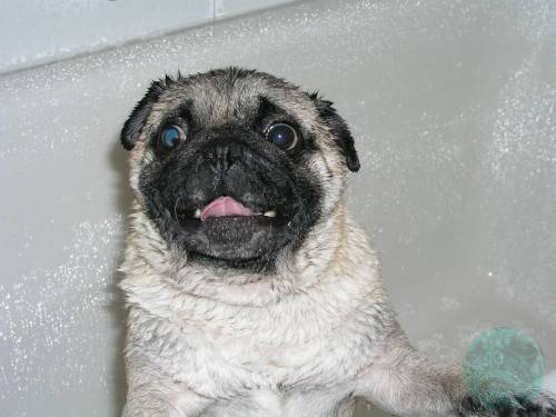 ポポロクロイス探偵局ten77